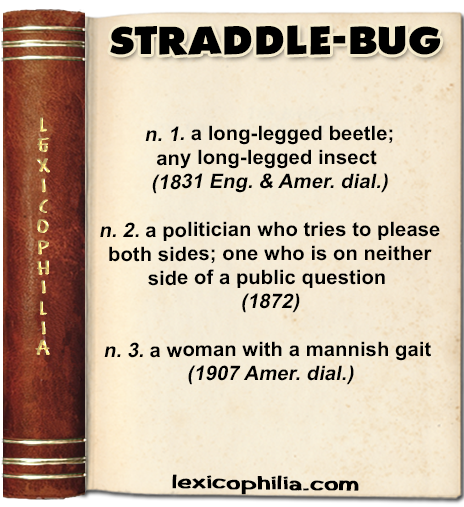 Word of the Day: STRADDLE-BUG – Lexicophilia