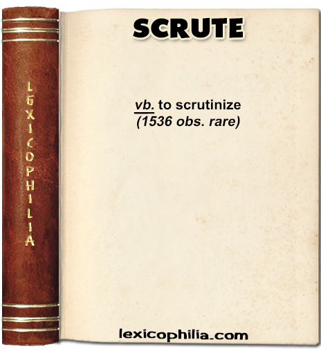 Word of the Day: SCRUTE – Lexicophilia