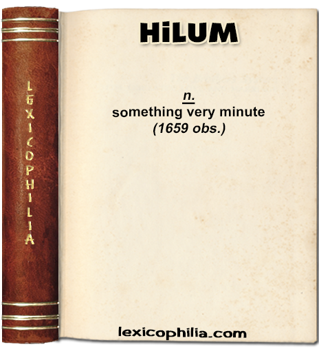 Word of the Day: HILUM – Lexicophilia