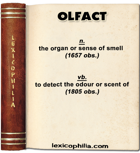 Word of the Day: OLFACT – Lexicophilia