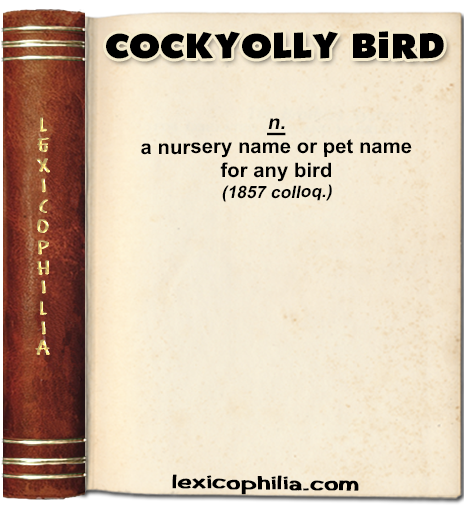 Word of the Day: COCKYOLLY BIRD – Lexicophilia